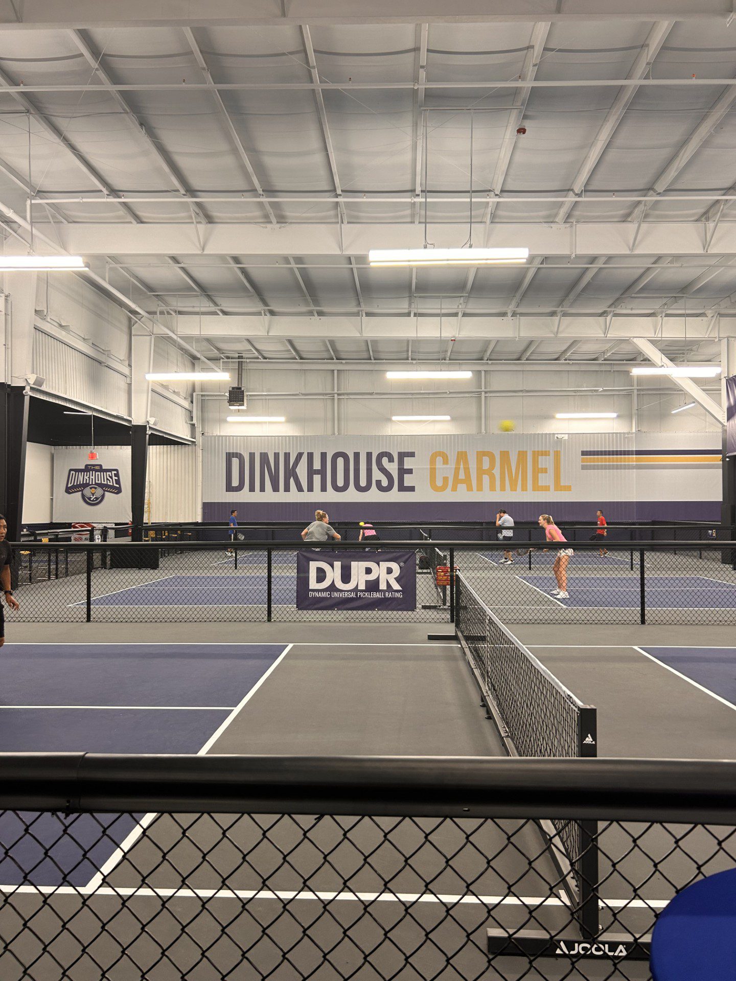 The Indiana Masters @ The Dink House | APA Pickleball